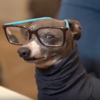 Court of Ravens and Ruin (The Shadow Bound Queen, #1) by Eliza Raine ...