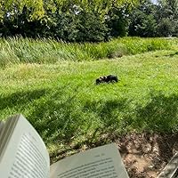 Deadly Animals by Marie Tierney | Goodreads