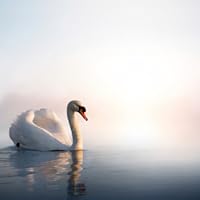 The Weaver (The Vrix #1) by Tiffany Roberts | Goodreads