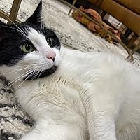 Tell Me a Mitzi by Lore Segal | Goodreads