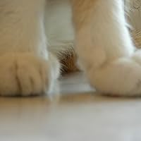 The Unscratchables by Cornelius Kane | Goodreads