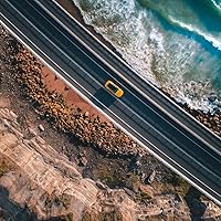 The Things That I LOVE about TREES by Chris Butterworth | Goodreads