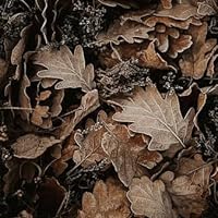 The Big Dark by Rodman Philbrick | Goodreads