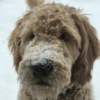 Girl, Hero by Carrie Jones | Goodreads