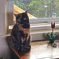 We March At Midnight: A War Memoir by Ray McPadden | Goodreads