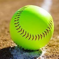 Calendar Club: The Case of the New Year's Eve Nightmare by Nancy Star ...