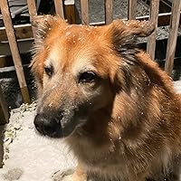 Blessings by Chukwuebuka Ibeh | Goodreads