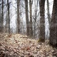 The Godhead Complex (The Maze Cutter, #2) by James Dashner | Goodreads