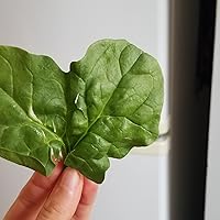 All of an Instant by Richard Garfinkle | Goodreads