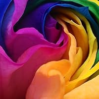 The Babysitter's Ride Home: Seduced by the Curvy College Student by ...