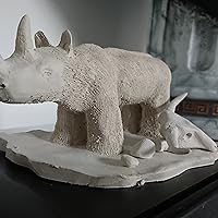 Blackbeard the Pirate: A Reappraisal of His Life and Times by Robert ...