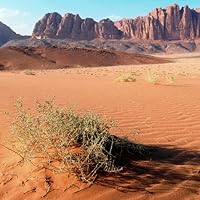 The F Formula: Flirting Techniques To Attract Women by Marni Kinrys ...