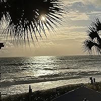 The Unauthorized Story of Walt Disney's Haunted Mansion by Jeff Baham ...