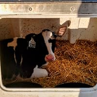 Until They Bring the Streetcars Back by Stanley Gordon West | Goodreads