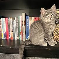 Below (Broken Skies: Book #1) by Jason Chabot | Goodreads