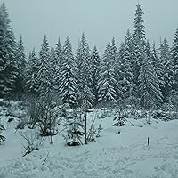 The Ruthless Note (Redwood Kings #2) by Nelia Alarcon | Goodreads