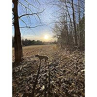 Brave Like That by Lindsey Stoddard | Goodreads