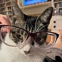 Whispering Winds of Appalachia by John Ellington | Goodreads