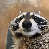 Geometry for Ocelots by Exurb1a | Goodreads