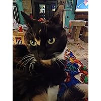 So Far from the Bamboo Grove by Yoko Kawashima Watkins | Goodreads