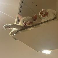 Gunfighter Nation: The Myth of the Frontier in Twentieth-Century ...