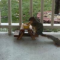 The Life Impossible by Matt Haig | Goodreads