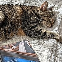 Finally, Something Mysterious (The One and Onlys) by Doug Cornett ...