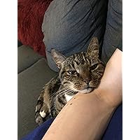 How Games Move Us: Emotion by Design by Katherine Isbister | Goodreads