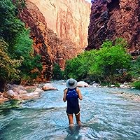 Birding with Benefits by Sarah T. Dubb | Goodreads