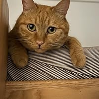 The Complete Kake Comics by Tom of Finland | Goodreads