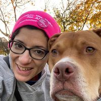 Those Wild Wyndhams: Three Sisters at the Heart of Power by Claudia ...