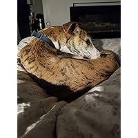 Me, Myself, They: Life Beyond the Binary by Luna M. Ferguson | Goodreads