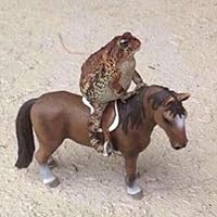 Choices - Volume 1 (Choices #1) by MesserMoon | Goodreads