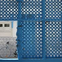 Operation Moonglow: A Political History of Project Apollo by Teasel ...