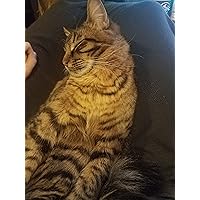 Spiral (Tunnels, #5) by Roderick Gordon | Goodreads