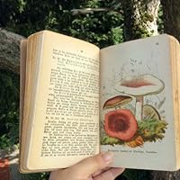 Kaldoras (The Medoran Chronicles, #6) by Lynette Noni | Goodreads