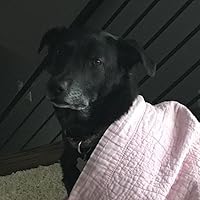 Emma and the Blue Genie by Cornelia Funke | Goodreads