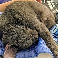 Mutual Aid: Building Solidarity in This Crisis by Dean Spade | Goodreads