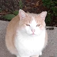 Sacred Signs & Symbols: Awaken to the Messages & Synchronicities That Surround You by Sherrie ...