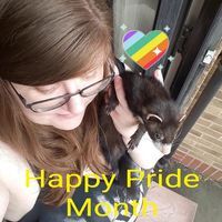 Little Prisoners: A Tragic Story of Siblings Trapped in a World of Abuse and Suffering by Casey ...