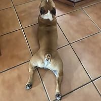 Good Morning, Chick by Mirra Ginsburg | Goodreads