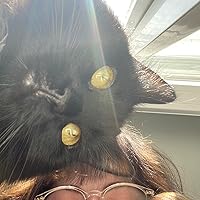 Death Coming Up the Hill by Chris Crowe | Goodreads