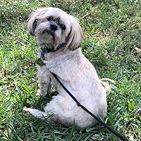 Good Night, World by Willa Perlman | Goodreads