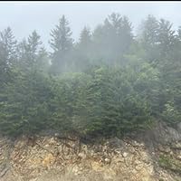 Eleven Days (Carl Houseman) by Donald Harstad | Goodreads