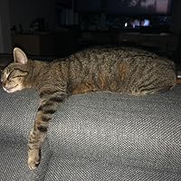 Homme en het noodgeval by Annejan Mieras | Goodreads