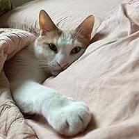 All I Asking for Is My Body by Milton Murayama | Goodreads