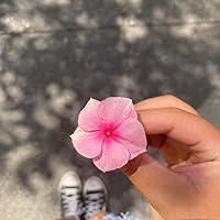 145th Street: Short Stories by Walter Dean Myers | Goodreads