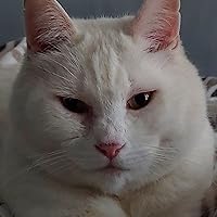 The Only Road by Alexandra Diaz | Goodreads