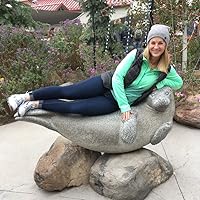 Fortune Falls (Fortune Falls, #1) by Lou Vane | Goodreads