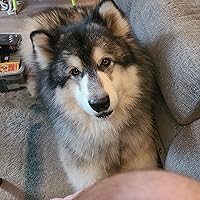 Transformers: Exiles by Alexander C. Irvine | Goodreads